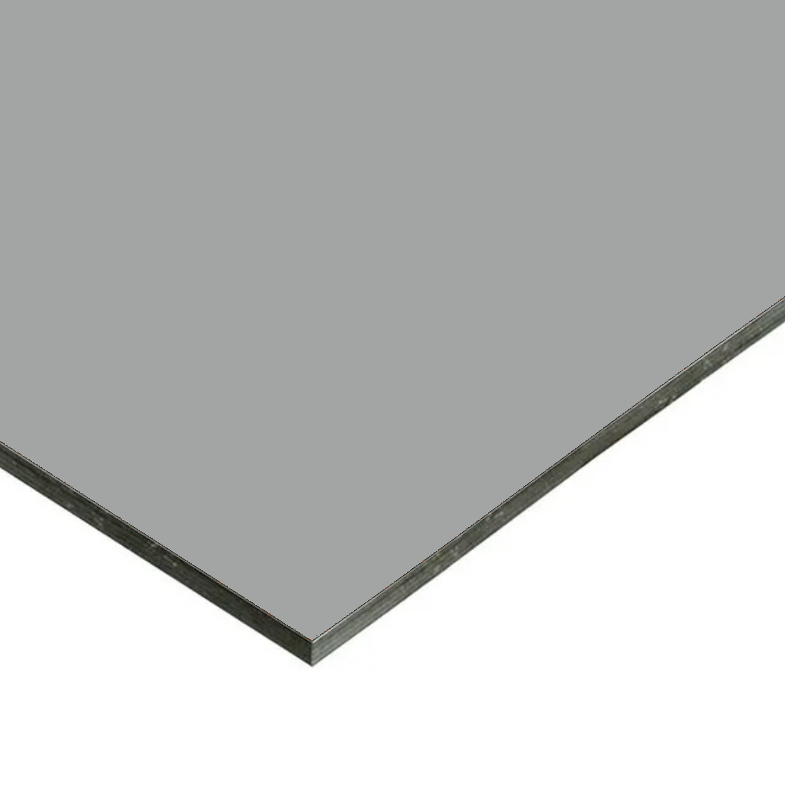 ACP Silver 9006 Matt/Gloss Sheet | Plastock
